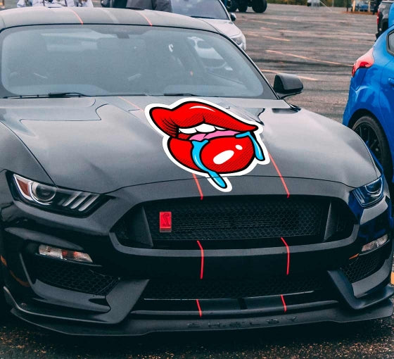 Die Cut Car Decals Sticker – Loveteesnthings